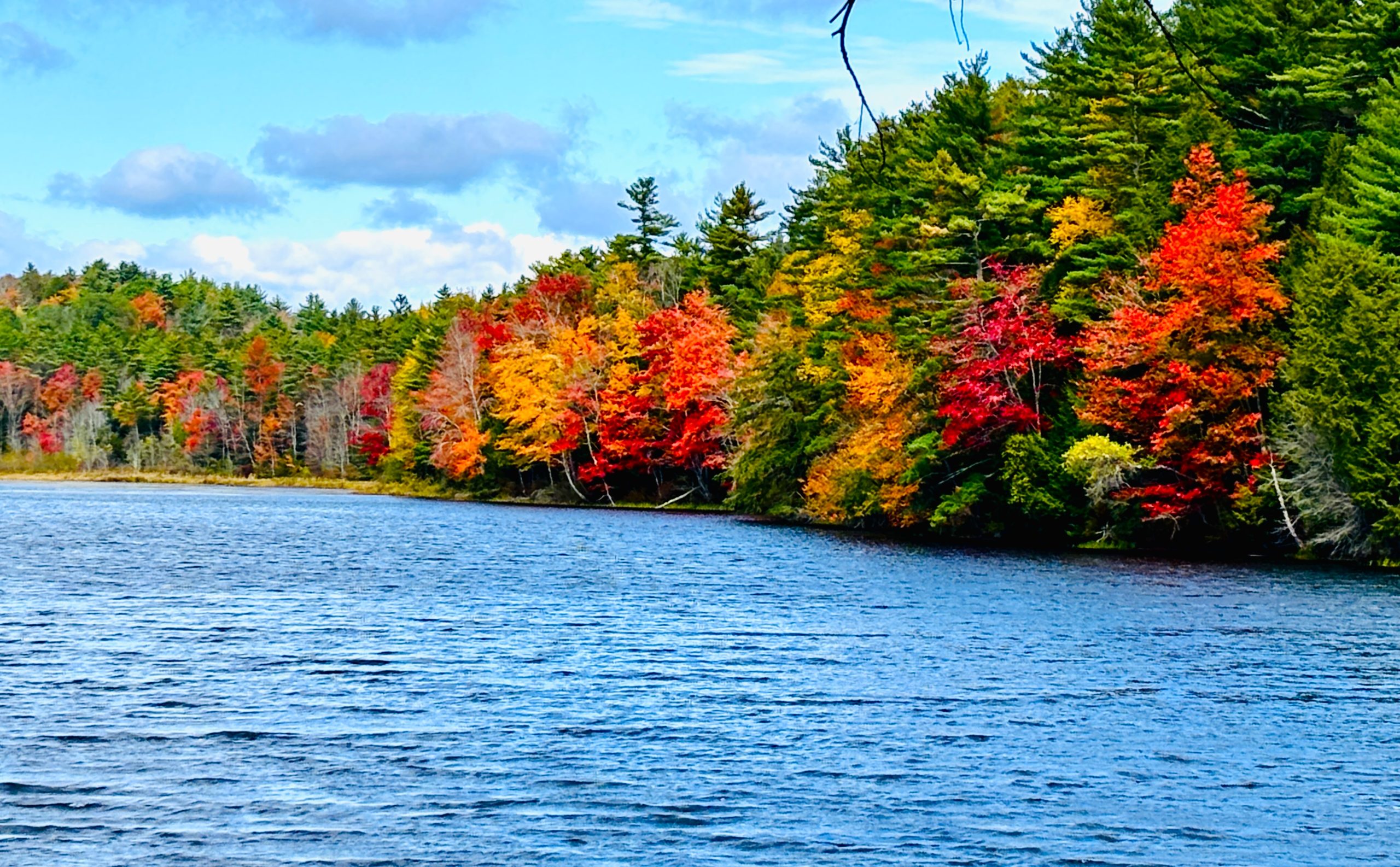 Fall beauty in Jaffrey - Monadnock Ledger-Transcript